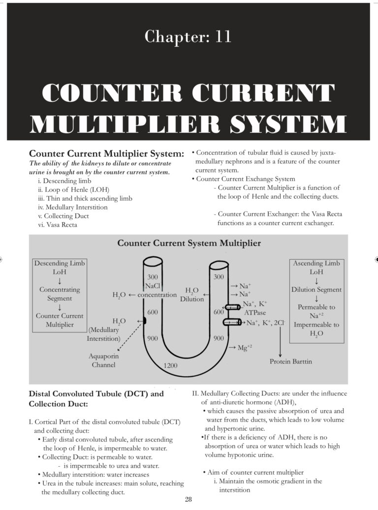 MINI-HARRISON – (BUNDLE OF VOL 1+2+3) – Dr. JTM